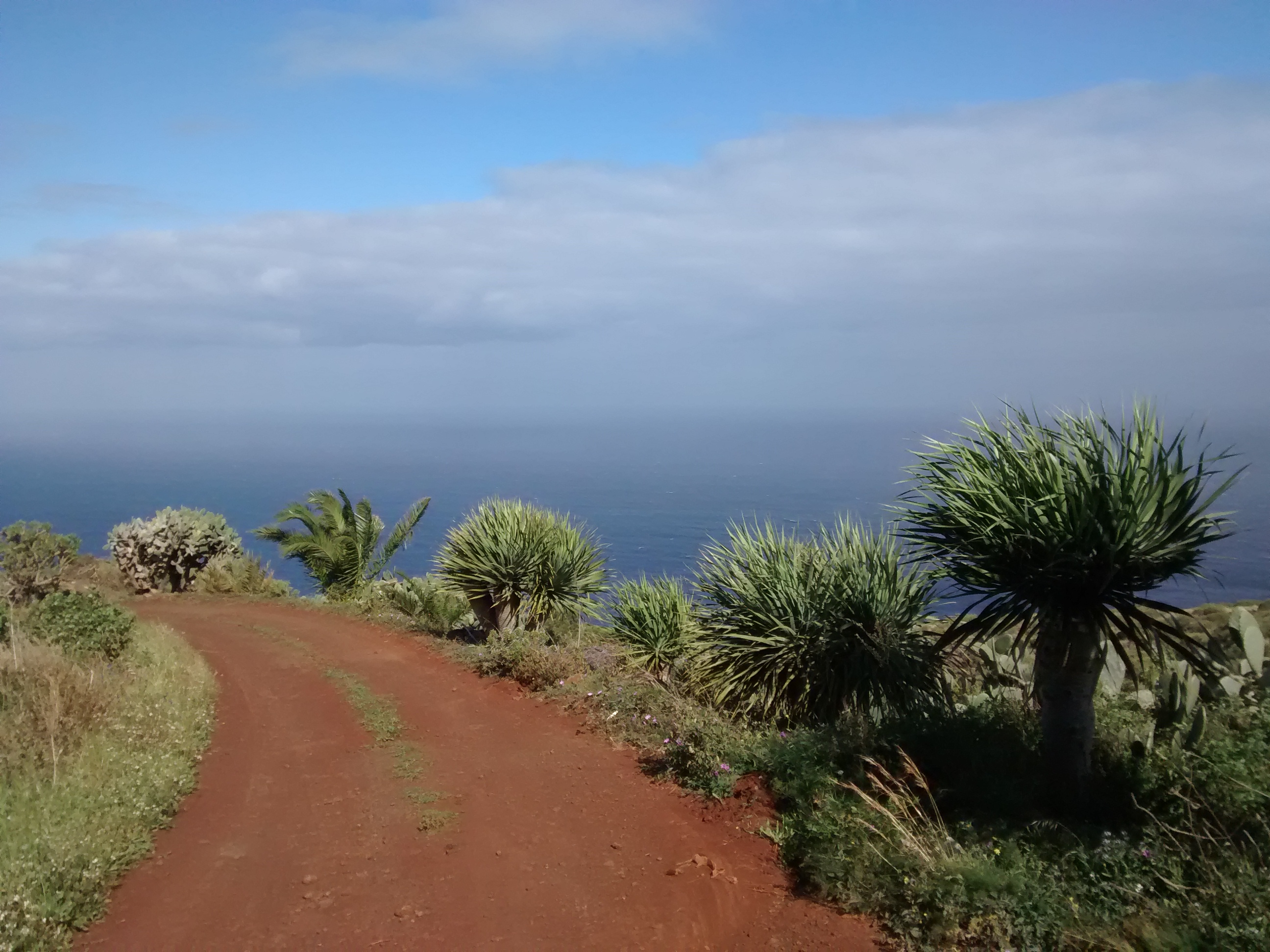 Rondwandeling Lomada Grande op La Palma.
