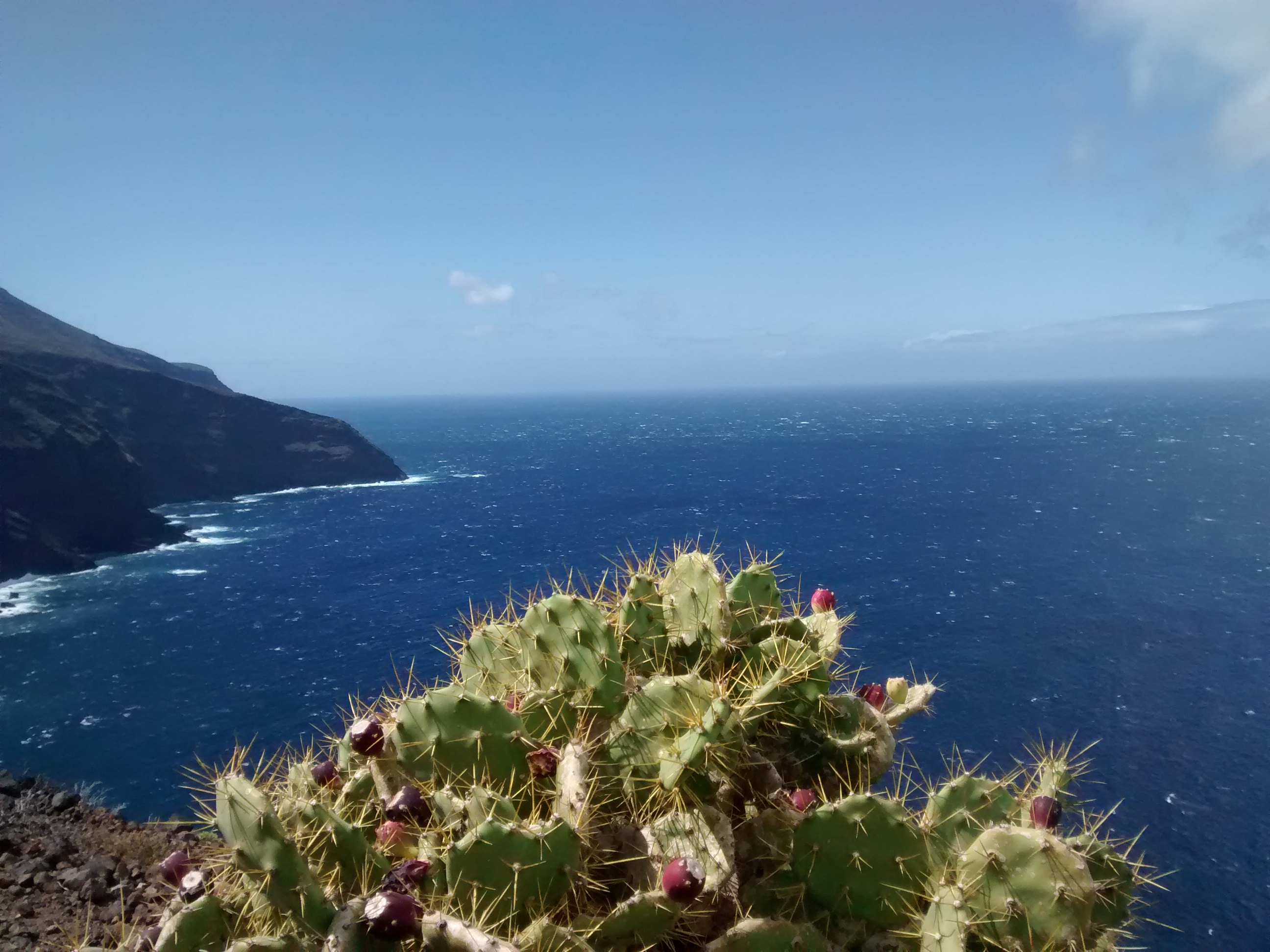 Rondwandeling Lomada Grande op La Palma.