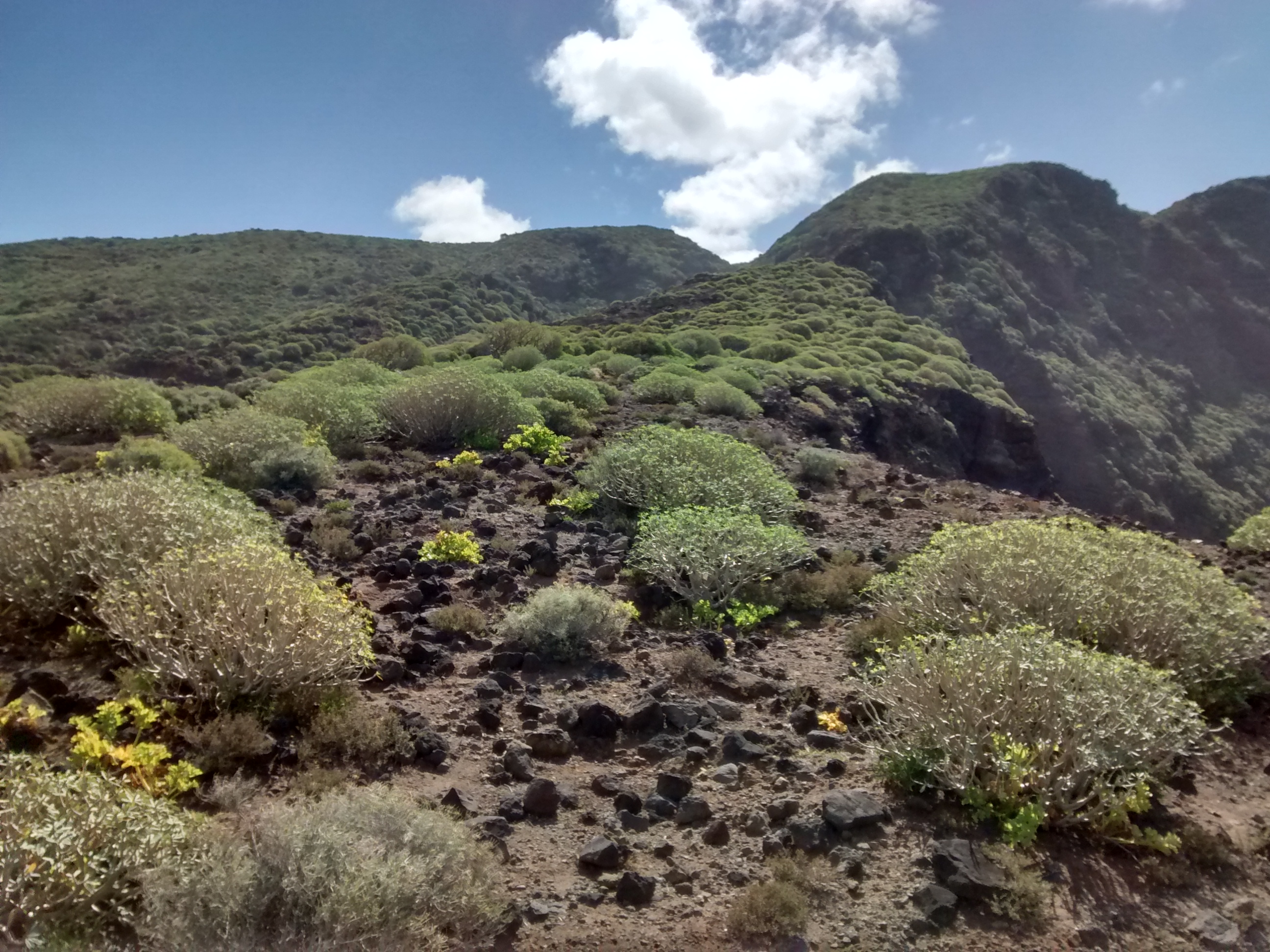 Rondwandeling Lomada Grande op La Palma.
